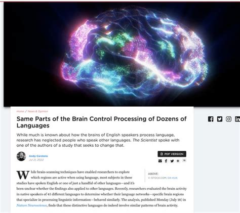 Same Parts Of The Brain Control Processing Of Dozens Of Languages Ppt