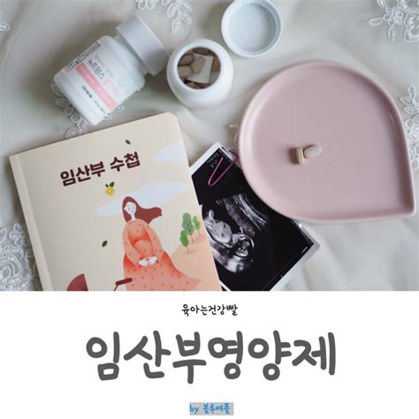 임신초기영양제 임산부종합비타민 임신준비엽산 꾸준히 네이버 블로그