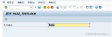 Abap常用表锁abap 锁表 Csdn博客