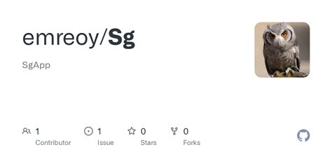 GitHub Emreoy Sg SgApp
