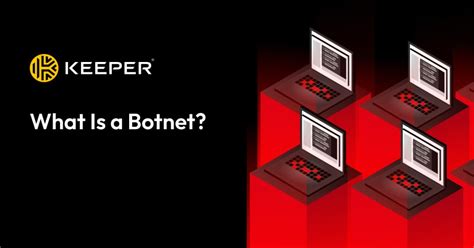 什么是僵尸网络？ Keeper Security