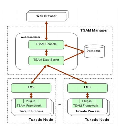 Oracle Tsam Overview