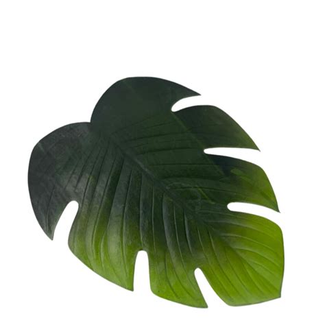 Sousplat Costela De AdÃo