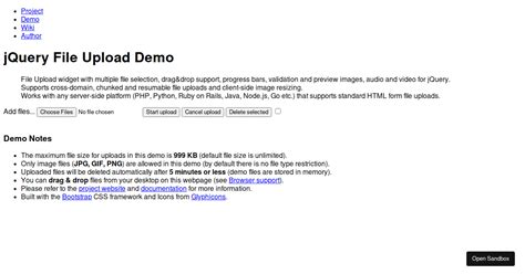 Jquery File Upload Codesandbox