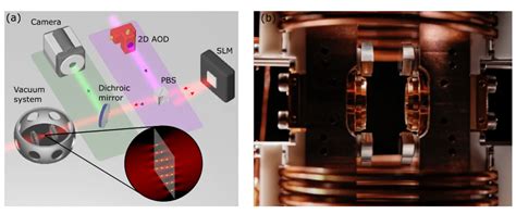Neutral Atoms Quantum Computing For Physics Informed Machine Learning