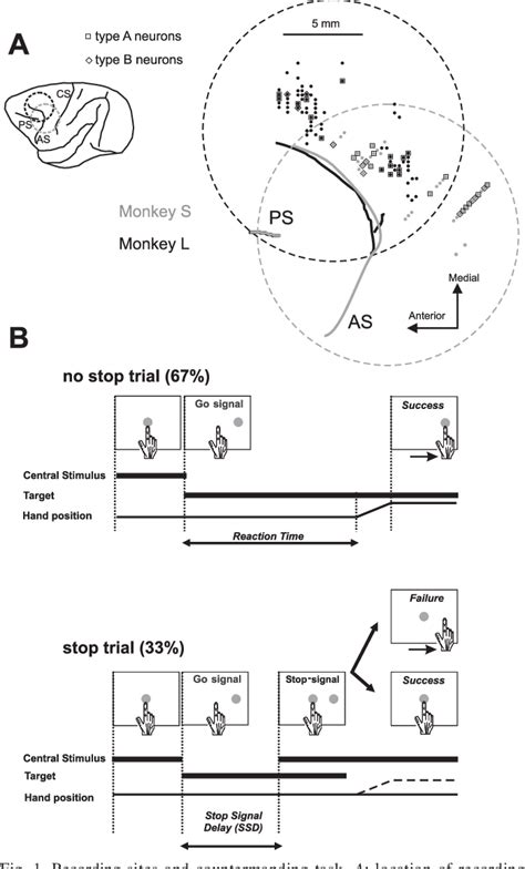 Figure 1 From Neural Correlates Of Cognitive Control Of Reaching