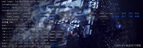 Linux基础命令详解：ls Touch Cat Tail与管道符 Csdn博客