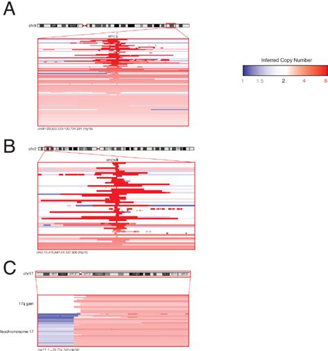 Somatic Copy Number Aberrations Scna In Medulloblastomas Involving Download Scientific