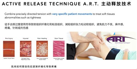 Home Chiropractic And Yoga Alignment