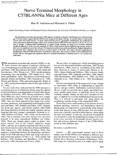 Pdf Nerve Terminal Morphology In C57bl6nnia Mice At Different Ages