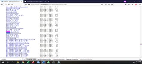 Instalación de R y Python Aprende Ciencia de Datos con Rocío Chávez