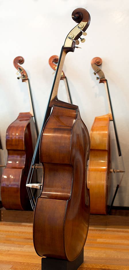 Emanuel Wilfer Double Bass