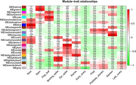 Heatmap Of Module Trait Relationships Each Row In The Heatmap