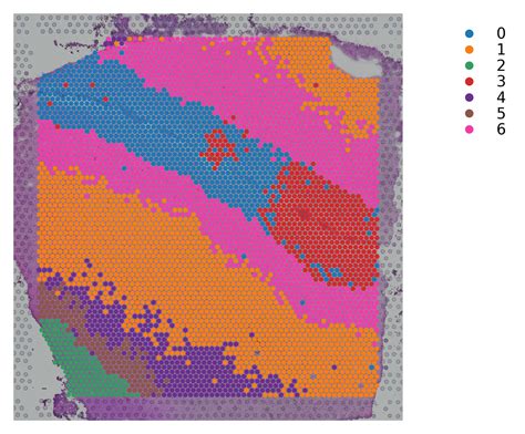 stsme clustering tutorial — stlearn 0 3 1 documentation