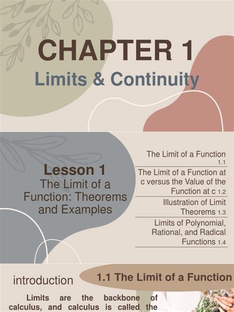 basic calculus chapter 1 limits pdf function mathematics