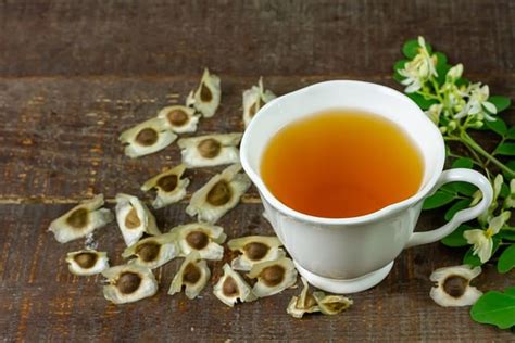 فوائد شجرة المورينجا Moringa Oleifera — مجلة رؤى مجلة رؤى