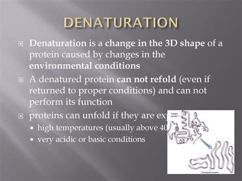 Biological Structure And Function Ppt Download
