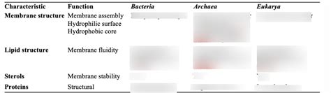 Diagram Of BIOL 240 Module 4 Eukaryotes Quizlet