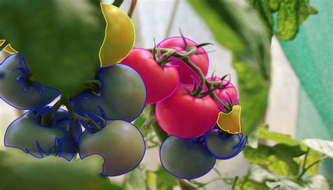 How Image Annotation Is Pushing Forward Object Detection Ai Keymakr