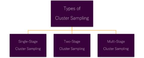 Cluster Sampling Meaning And Examples Spur Economics