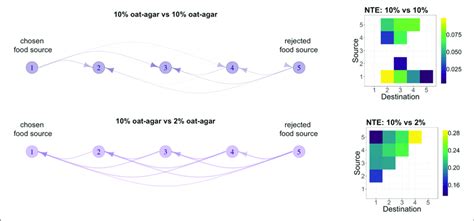 Networks And Their Adjacency Matrix Of Information Flow Between