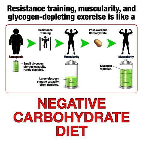 Glycogen Muscle