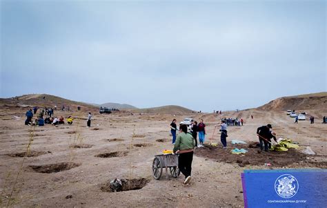 ҮҮСМЭЛ ХОГИЙН ЦЭГ БАЙСАН ГАЗАРТ ОЙН ЗУРВАС ҮҮСГЭЛЭЭ