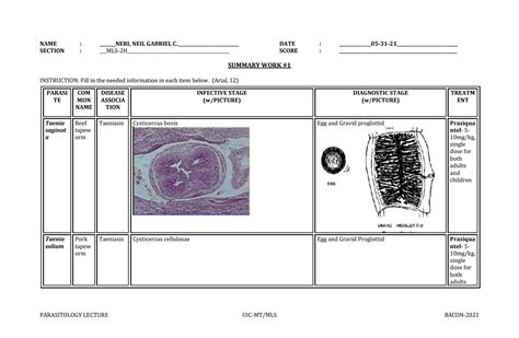 Tapeworm Classification At Clayton Cooper Blog