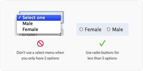 Button Vs Input Type Button Which To Use