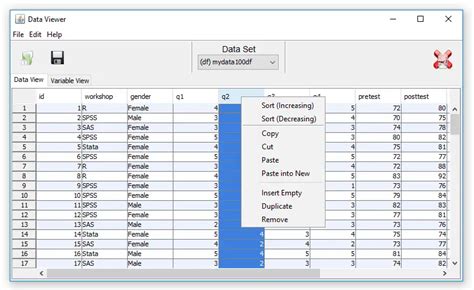 Deducer Data Viewer R4stats
