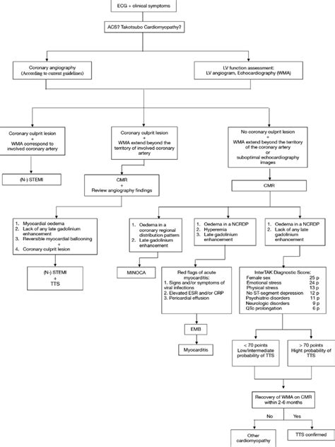 Diagnostic Algorithm For Undifferentiated Chest Pain And Or Shortness Download Scientific
