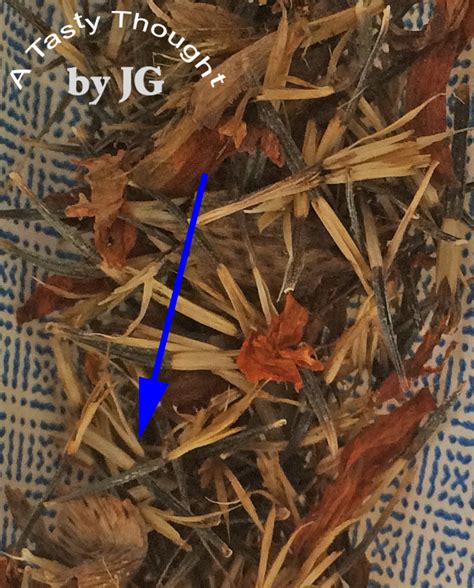 A Tasty Thought By Jg Harvesting Marigold Seeds