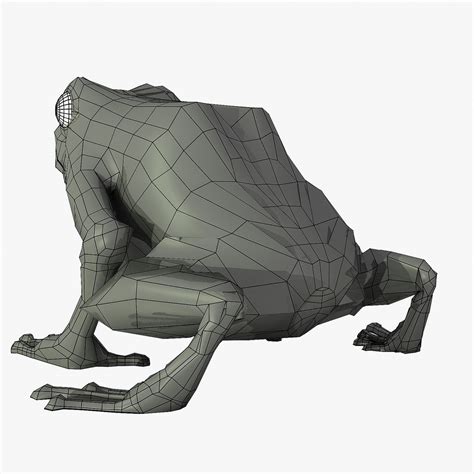 Blue Poison Dart Frog Lwo Blue Poison Dart Frog Lwo