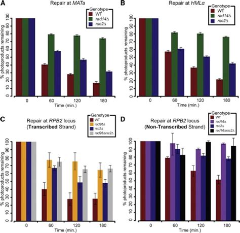rsc is required for efficient tcr and ggr ner download scientific