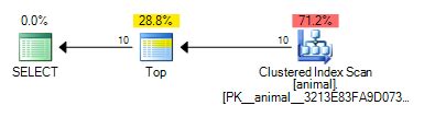 Huge Slowdown To SQL Server Query On Adding Wildcard Or Top