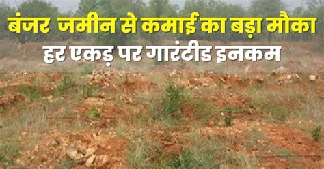 गजब की है ये सरकारी स्कीम बंजर जमीन से कर सकते हैं कमाई हर एकड़ पर 1