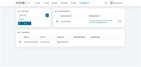 Developer Workflow Ui — Axon Ivy Platform 10 0 Documentation