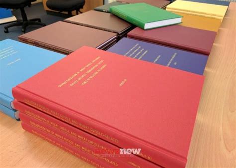 Graduation Thesis Cover Color Newznew