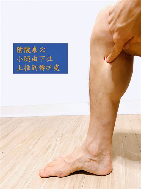慢性腎臟病搭配中醫 延後透析 自由健康網