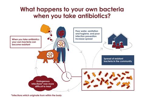 👱🏼🧑🏿‍🦳what Happens To Your Own Bacteria When You Take Antibiotics