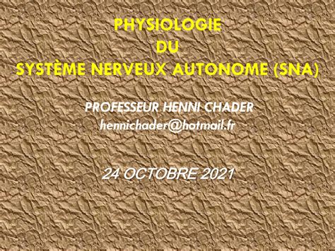 SOLUTION Physiologie Du Systeme Nerveux Autonome Studypool