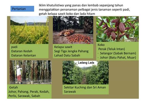 4 2 Pengaruh Cuaca Dan Iklim Kpd Kegiatan Manusia Di Malaysia PDF