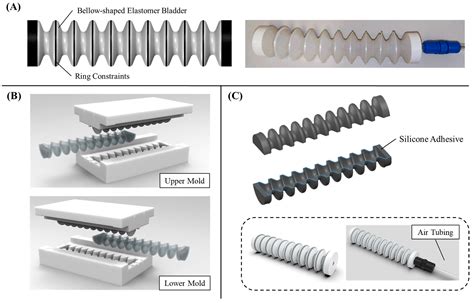 Quasi Static Modeling Framework For Soft Bellow Based Biomimetic Actuators