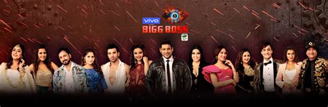 Paras In Bigg Boss Bigg Contestants Ultimate Bb13 Colorstv Komoiyo