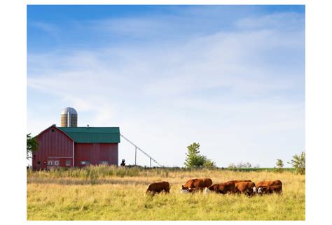 Cultivating Resilience Supporting Farmer Mental Health And Wellness