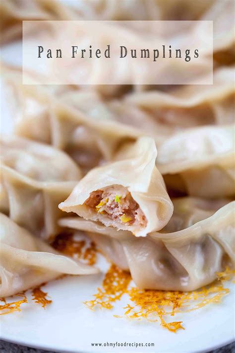 Pan Fried Dumplings or Potstickers 煎餃子 Oh My Food Recipes