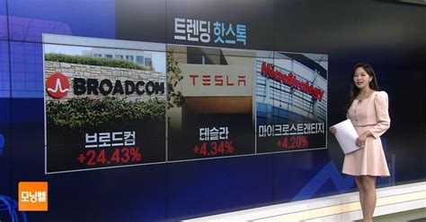 트렌딩 핫스톡 브로드컴 24대 폭등에 시총 1조달러 첫 돌파