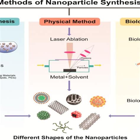 Diagram Illustrating Various Classes Of Nms Based On Dimensionality Download Scientific