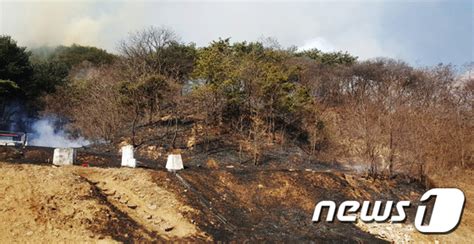 양구 군부대서 폭파장애물 설치 훈련중 화재야산 05ha 소실 뉴스1