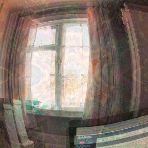 Why 2c B Is The Best Psychedelic For Beginners